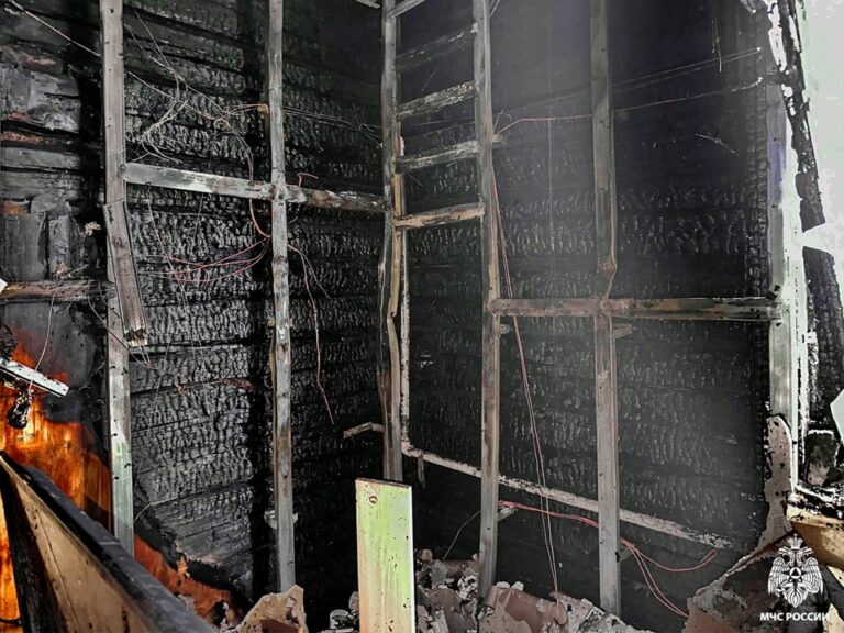 В Смоленске пожарные спасли собаку из горящего дома - Информагентство ...